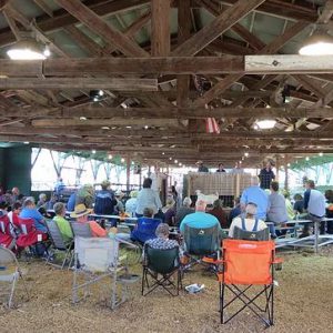 American Kiko Goat Association – The ORIGINAL Kiko Goat Registry